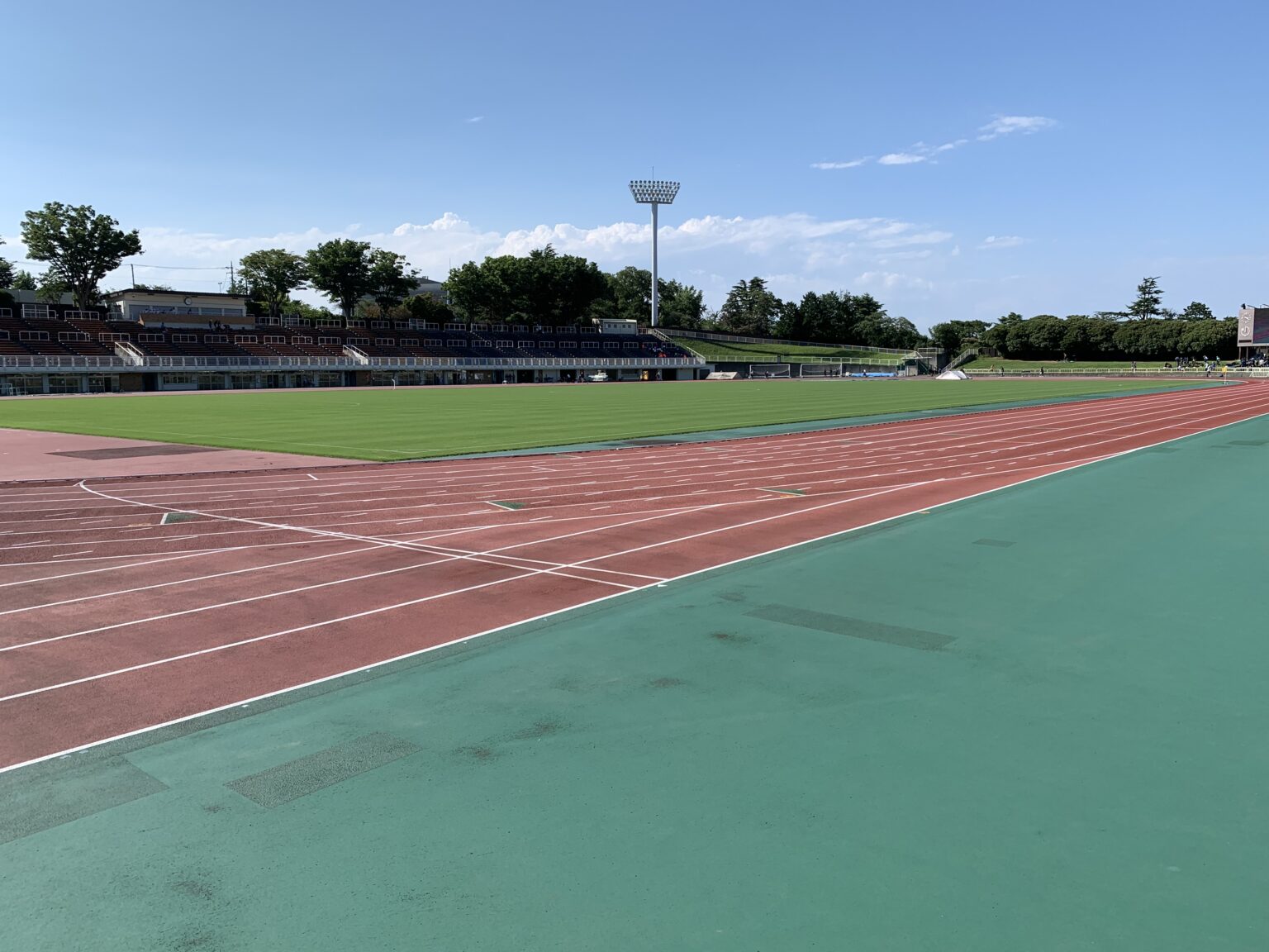 横浜緑走友会 – 横浜緑走友会はファンランもシリアスも
